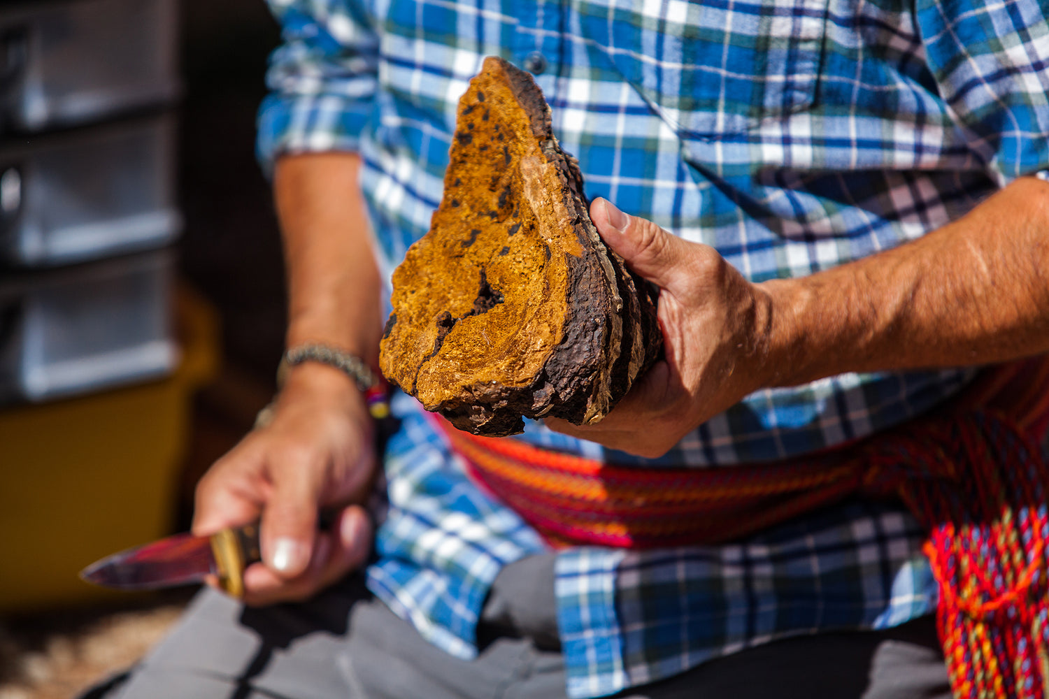 Chaga and First Nations: A Look at the Historical and Cultural Signifi ...