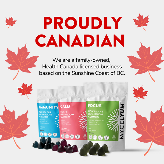 Mycelyum: Premium Functional Mushroom Gummies for Health & Wellness ...